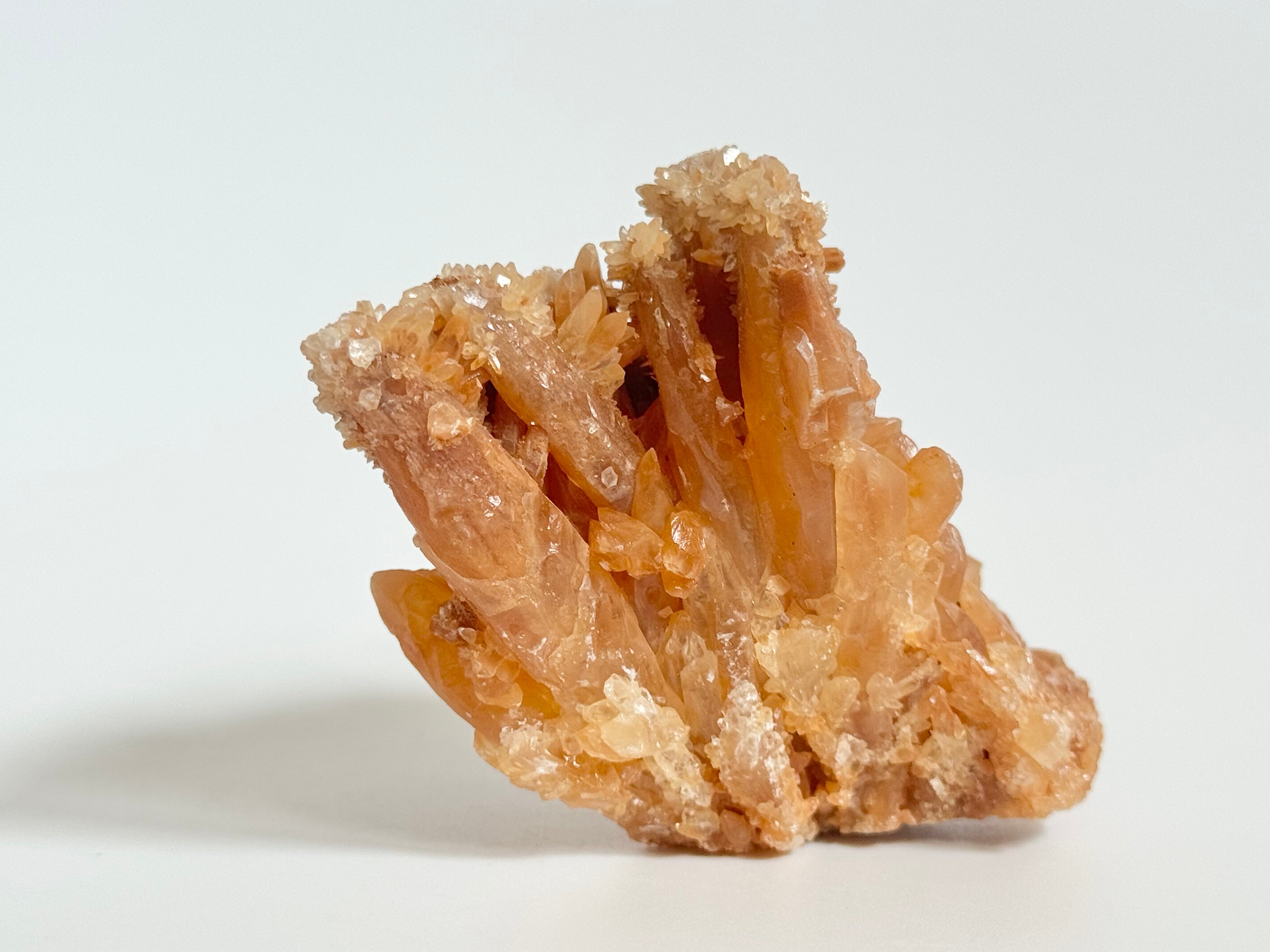 Dogtooth Calcite on Quartz – Midwest Shores